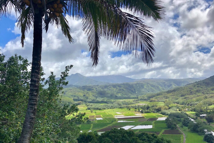 Specials and Packages - The Cliffs at Princeville